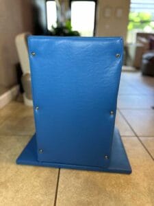 Georgy Dog Chair - Dog High Chair | Canine Megaesophagus